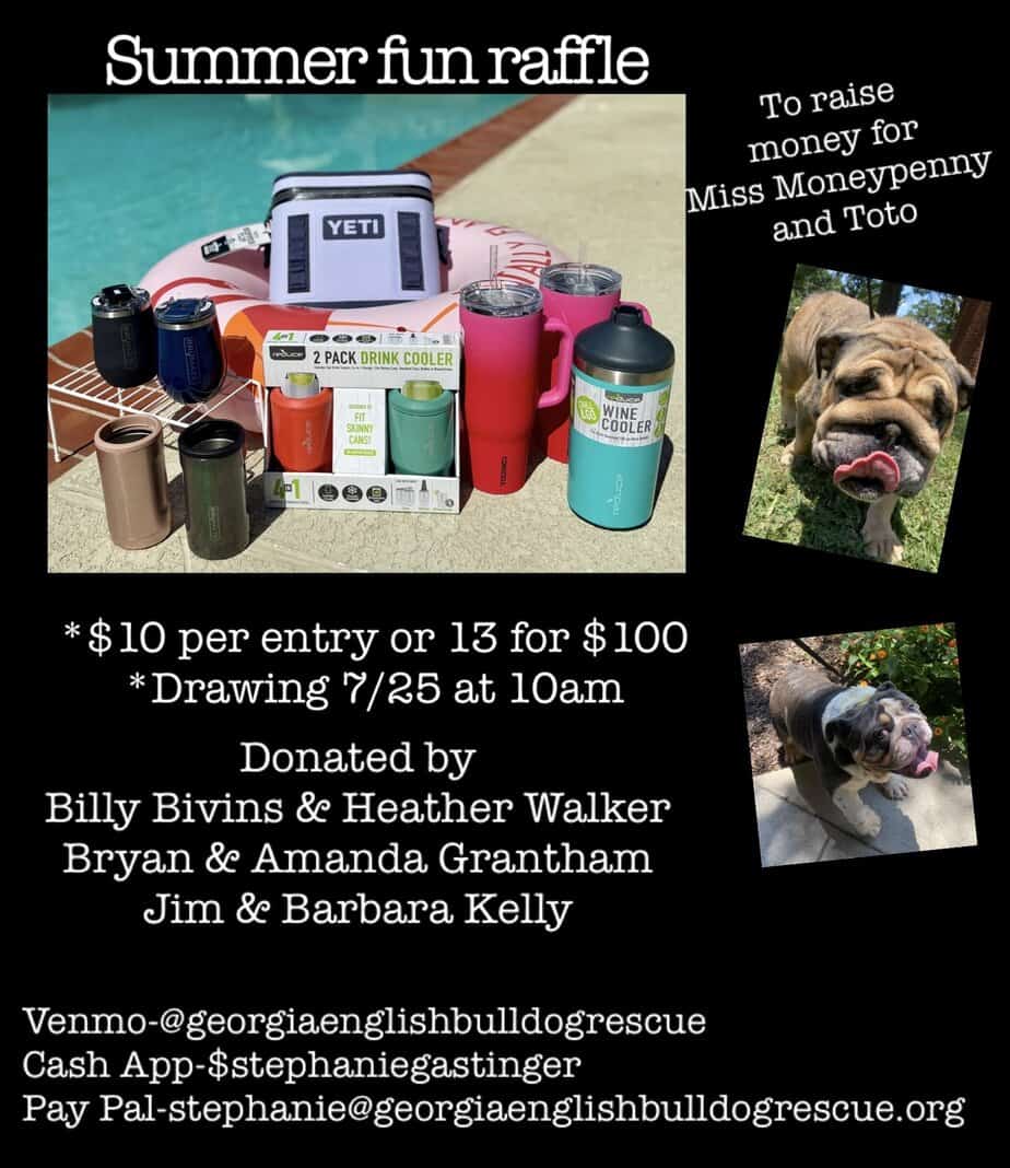 Summer Fun Raffle! – Georgia English Bulldog Rescue